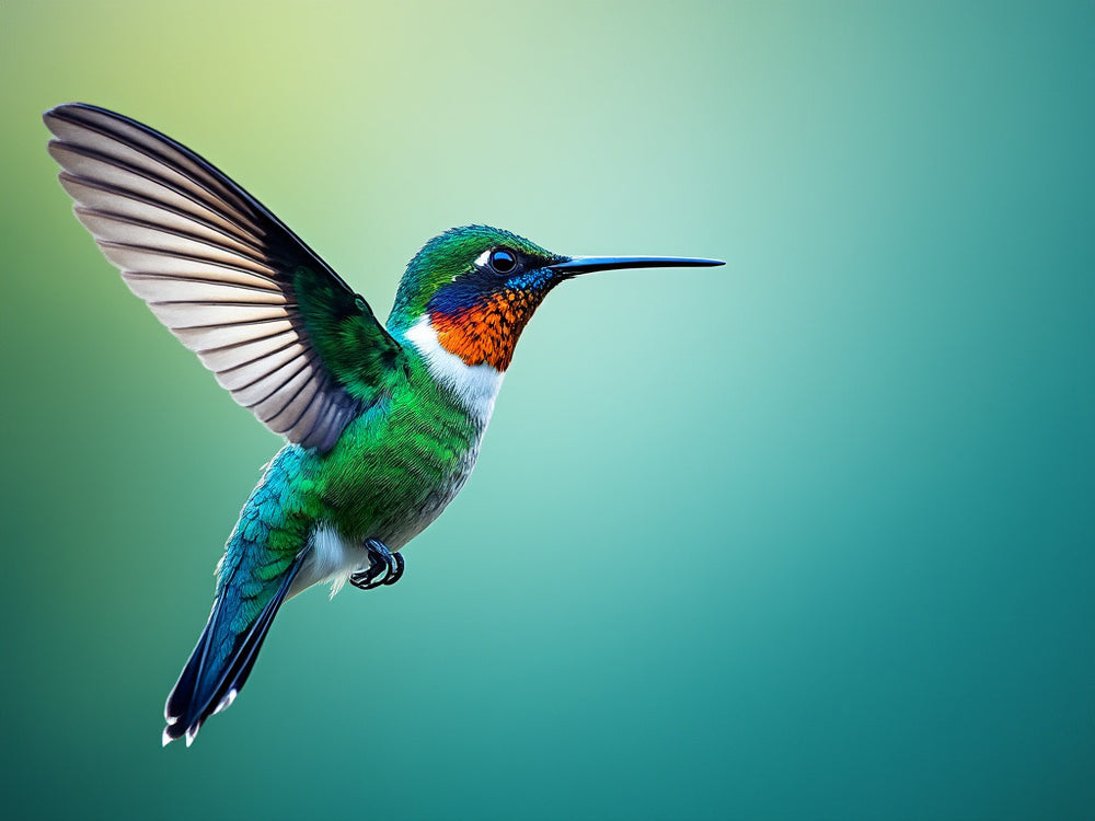 What are the 4 Stages for PSP? – CCF for PSP Awareness